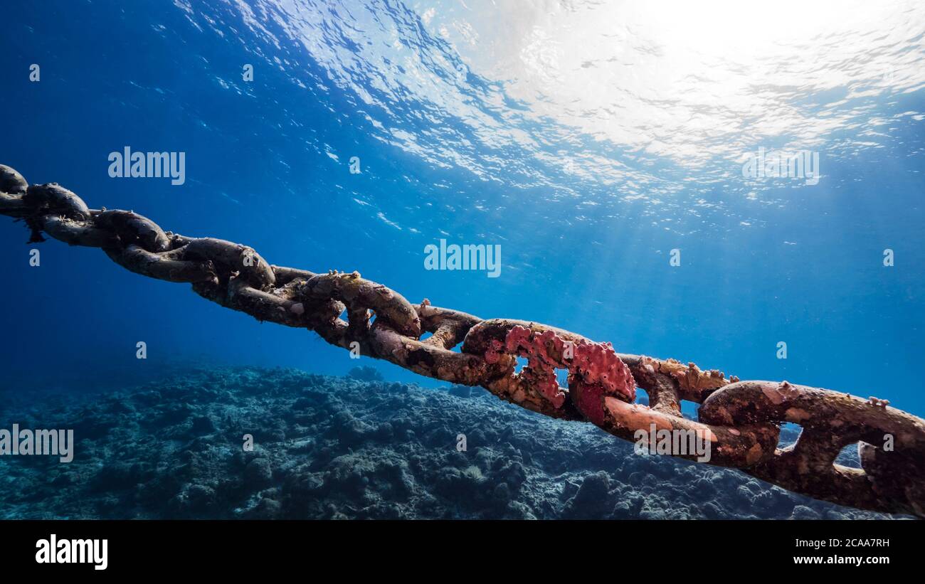 Diving in the caribbean sea hi-res stock photography and images - Alamy