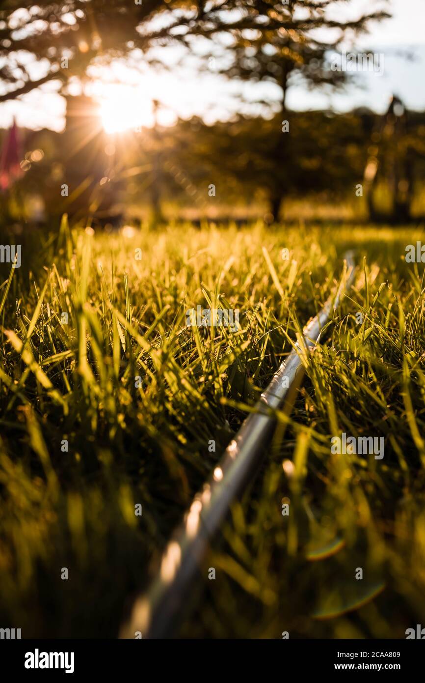 Water rubber pipe gardening hi-res stock photography and images - Alamy