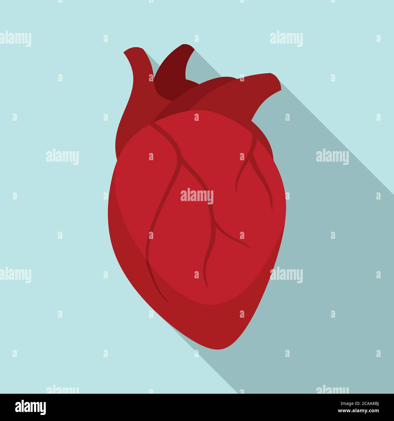 Muscle human heart icon. Flat illustration of muscle human heart vector ...