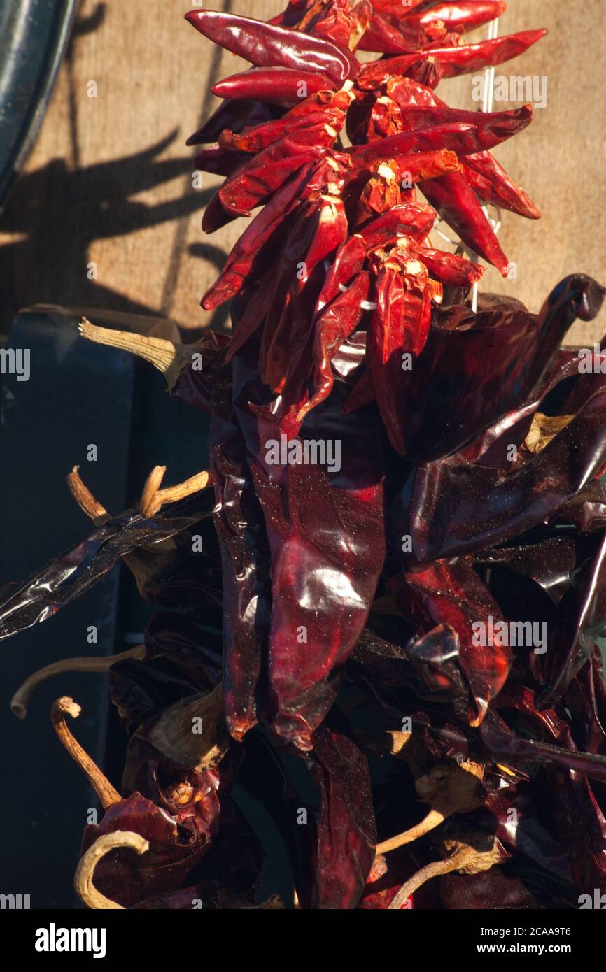 Red peppers drying in the sunshine Stock Photo - Alamy