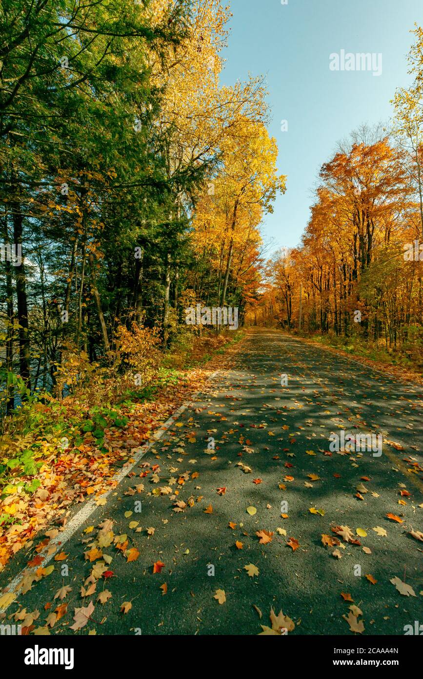 Fall Quebec Landscape Stock Photo - Alamy