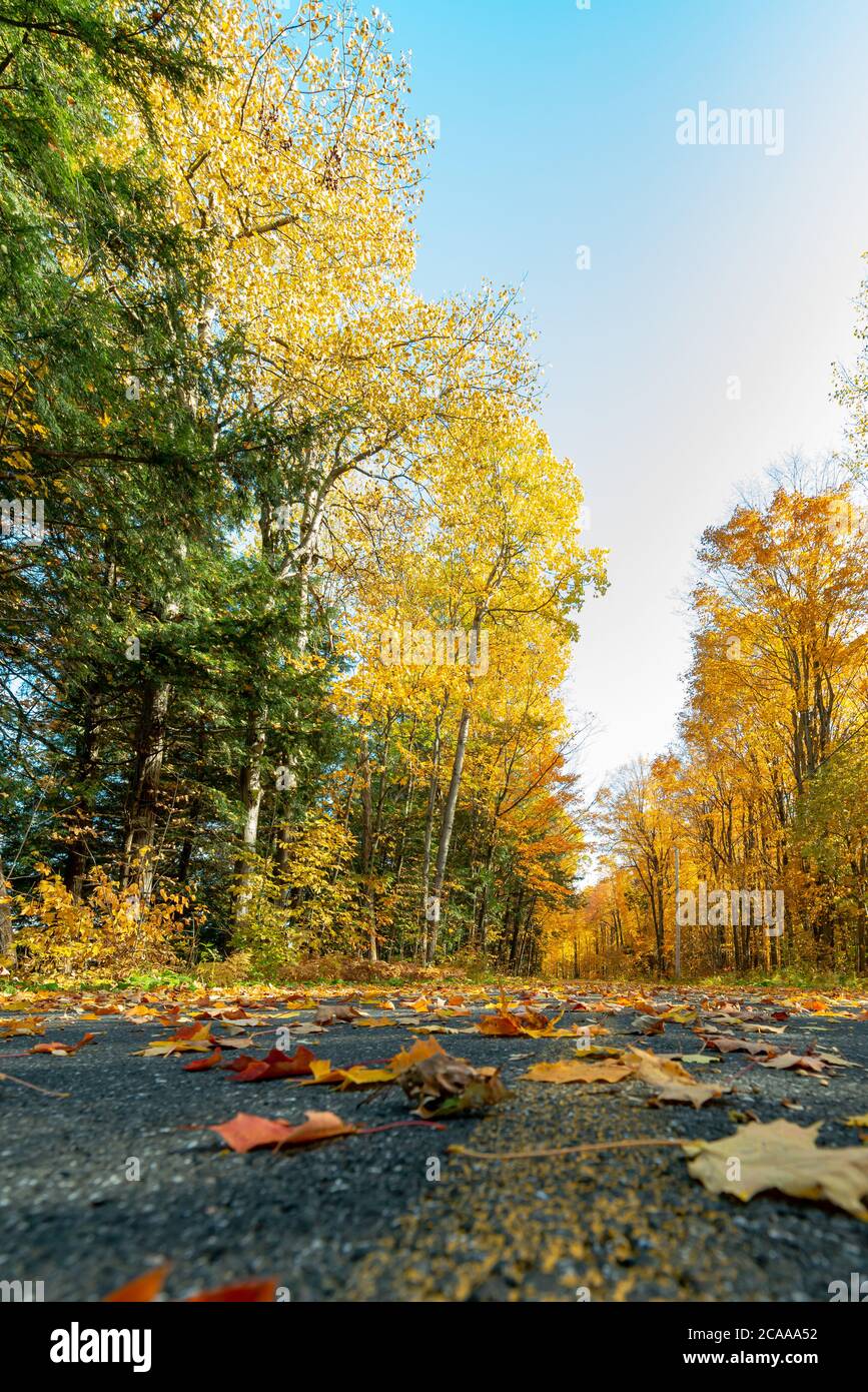 Fall Quebec Landscape Stock Photo - Alamy