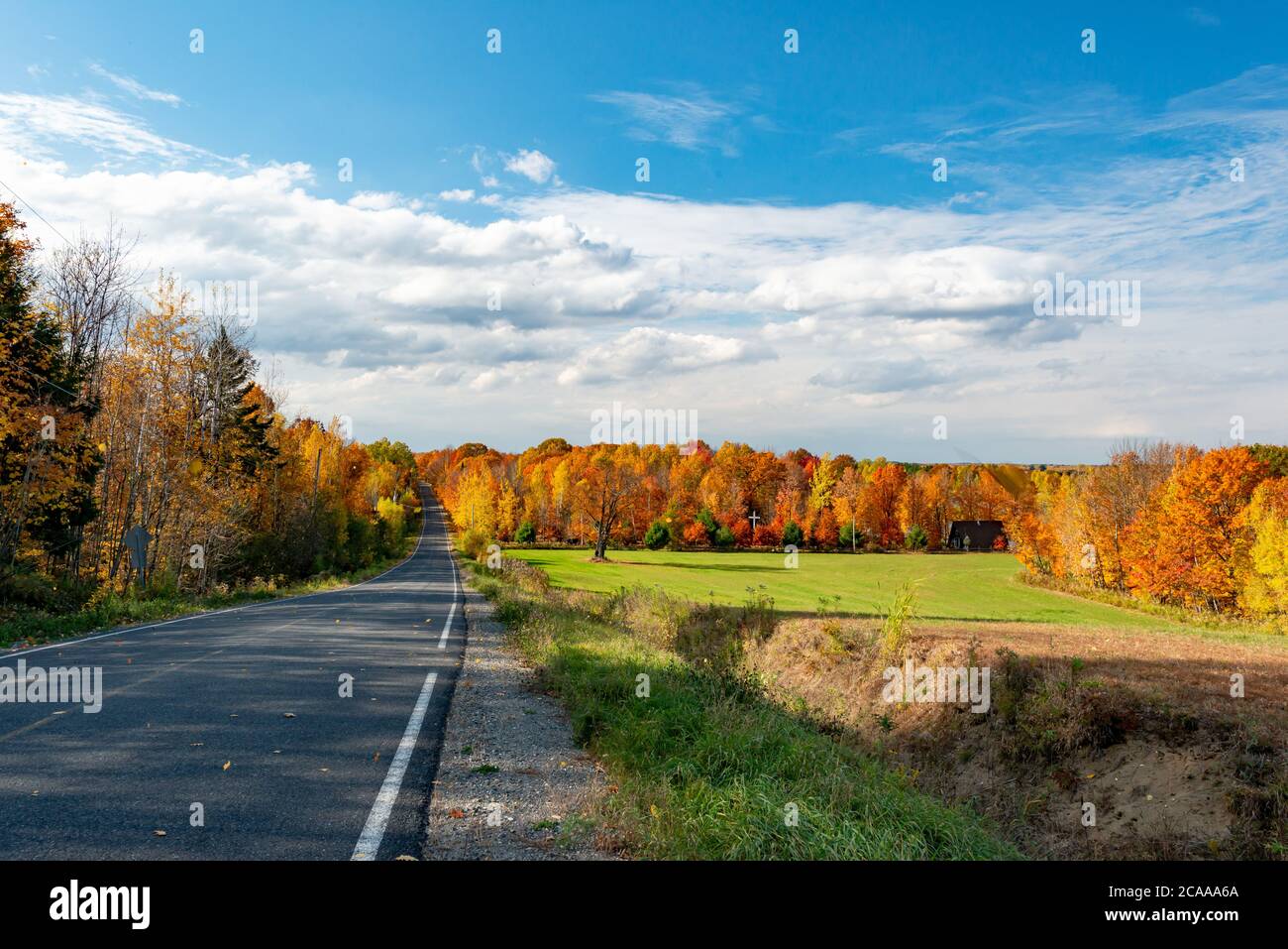 Beautiful fall leafs hi-res stock photography and images - Alamy