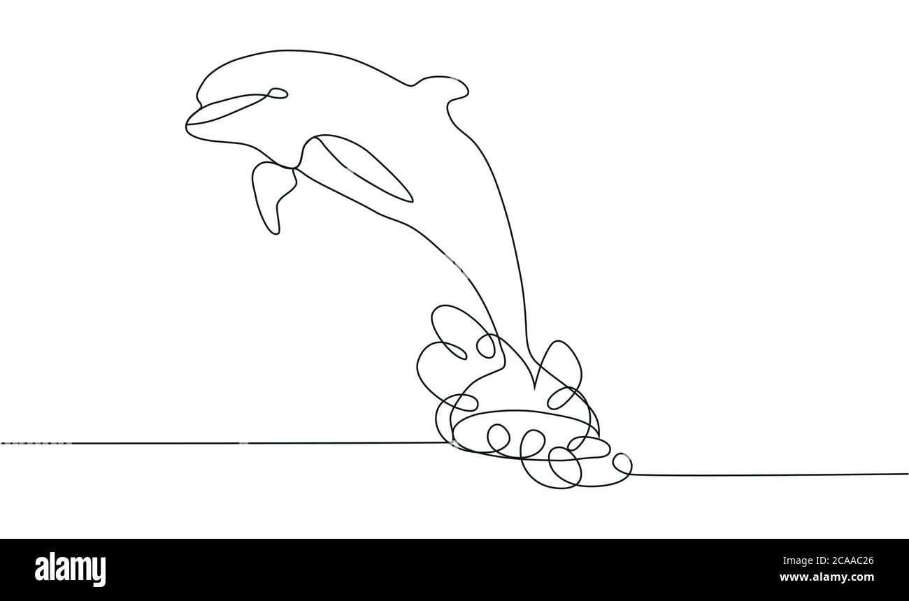 Line style dolphin illustration continuous line drawing Stock Vector ...