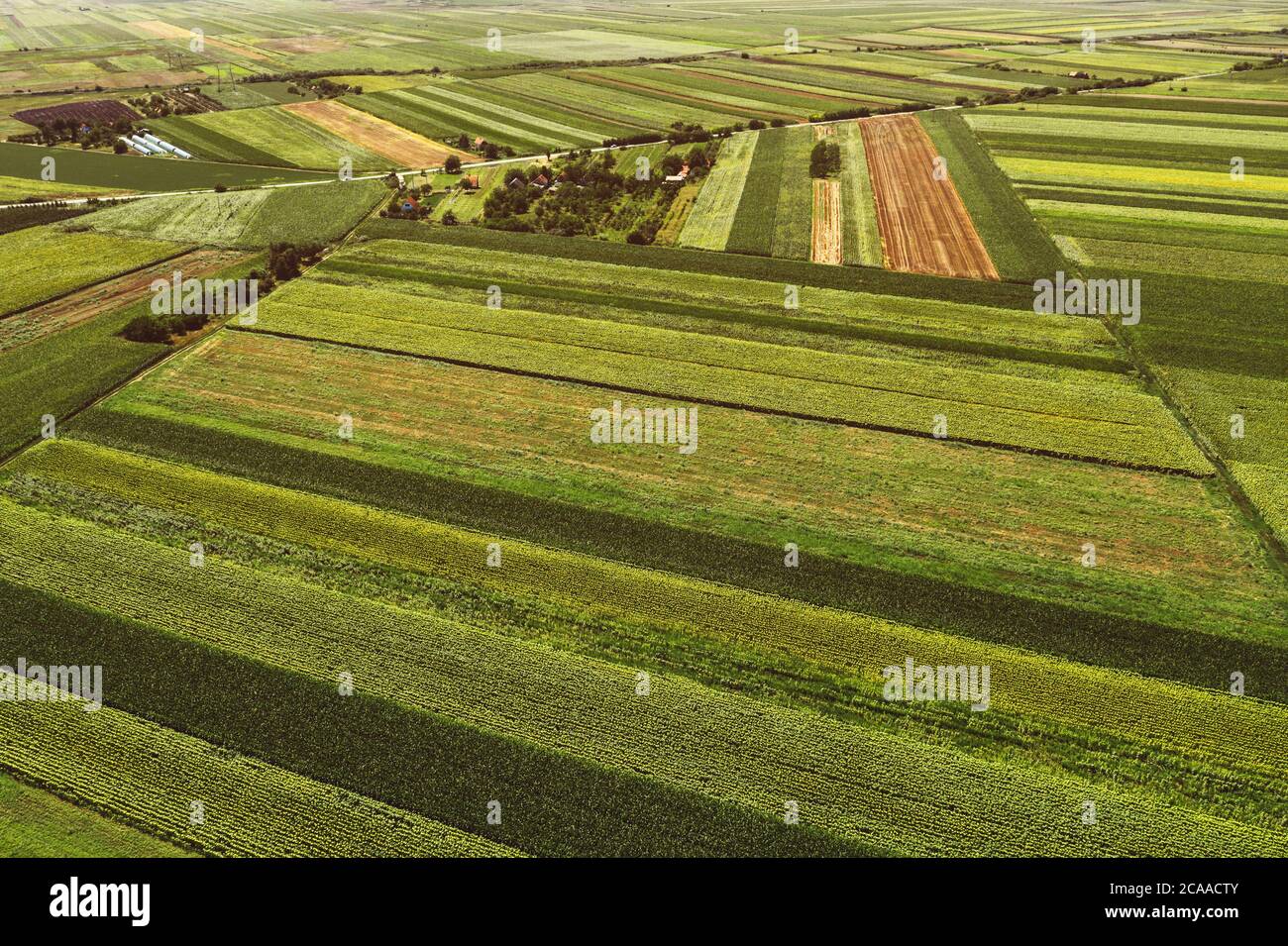 Scenic corn fields hi-res stock photography and images - Alamy