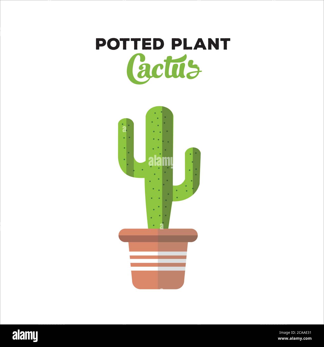 Cactus potted plant, Element, Cactus vector, green cactus in pot cevtor ...