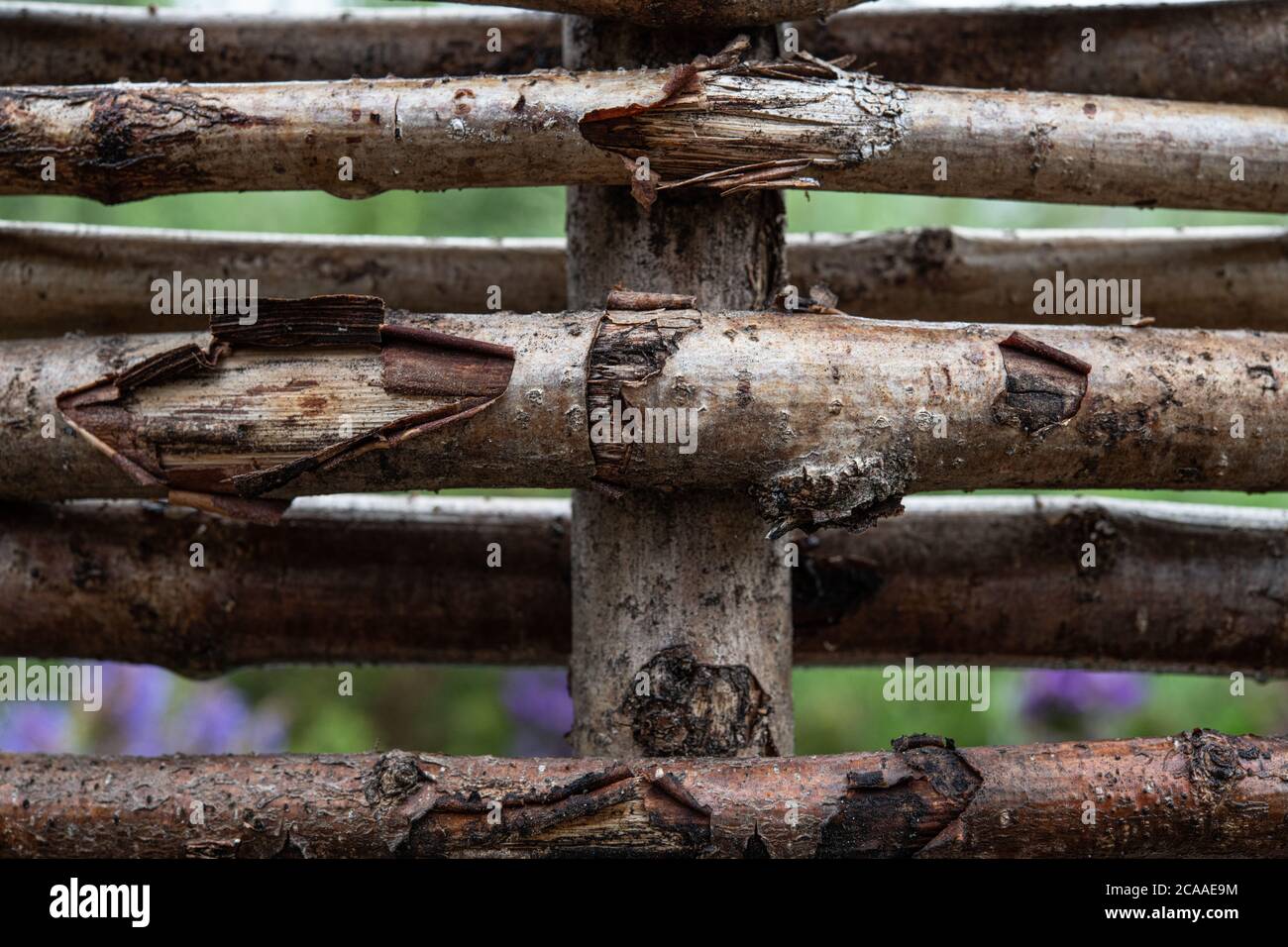 Hazel fence hi-res stock photography and images - Alamy