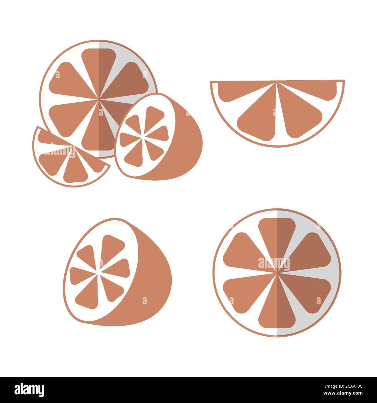 Grapefruit set halved and sliced pieces in flat style with shadow ...