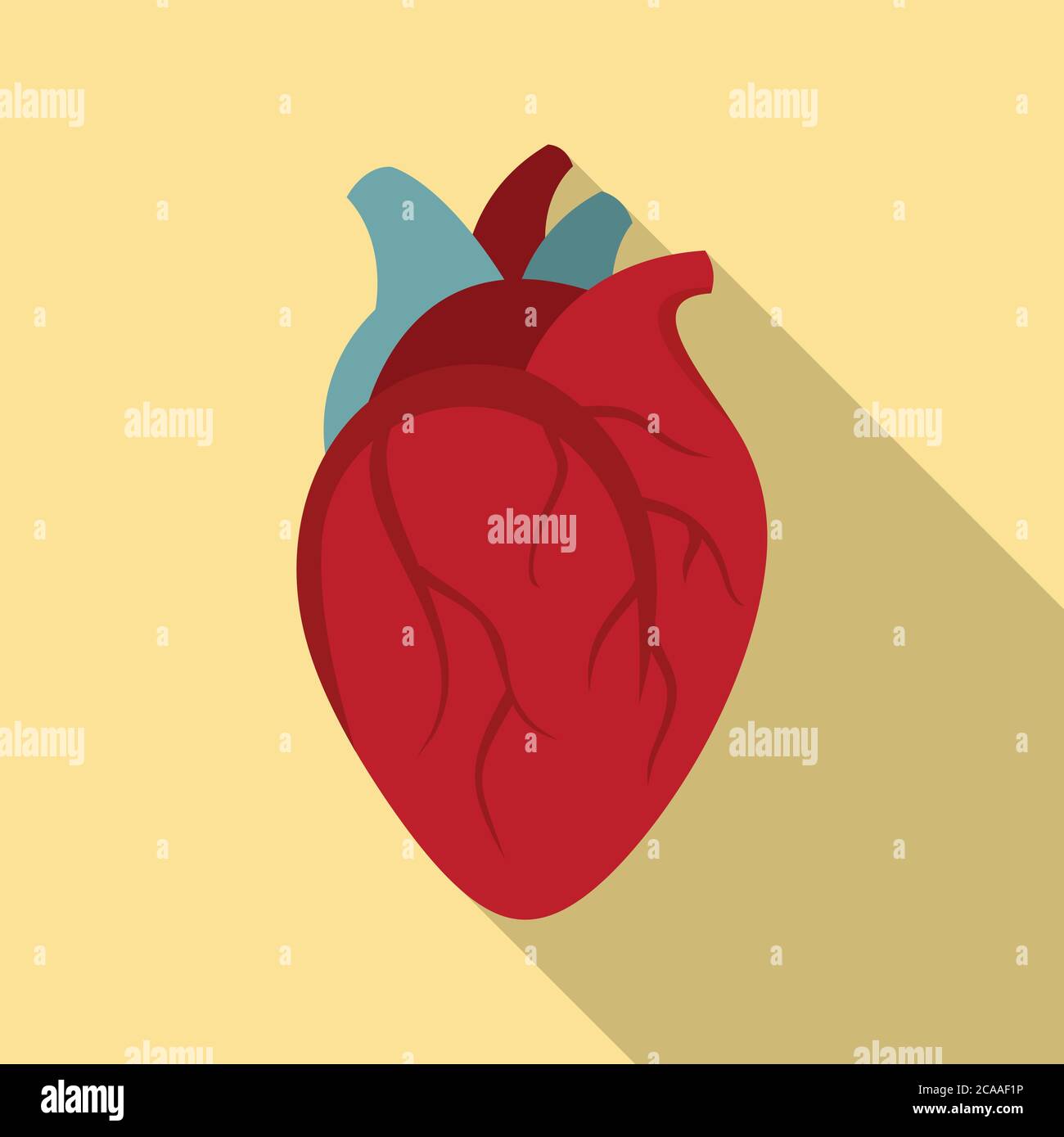 Biology human heart icon. Flat illustration of biology human heart ...