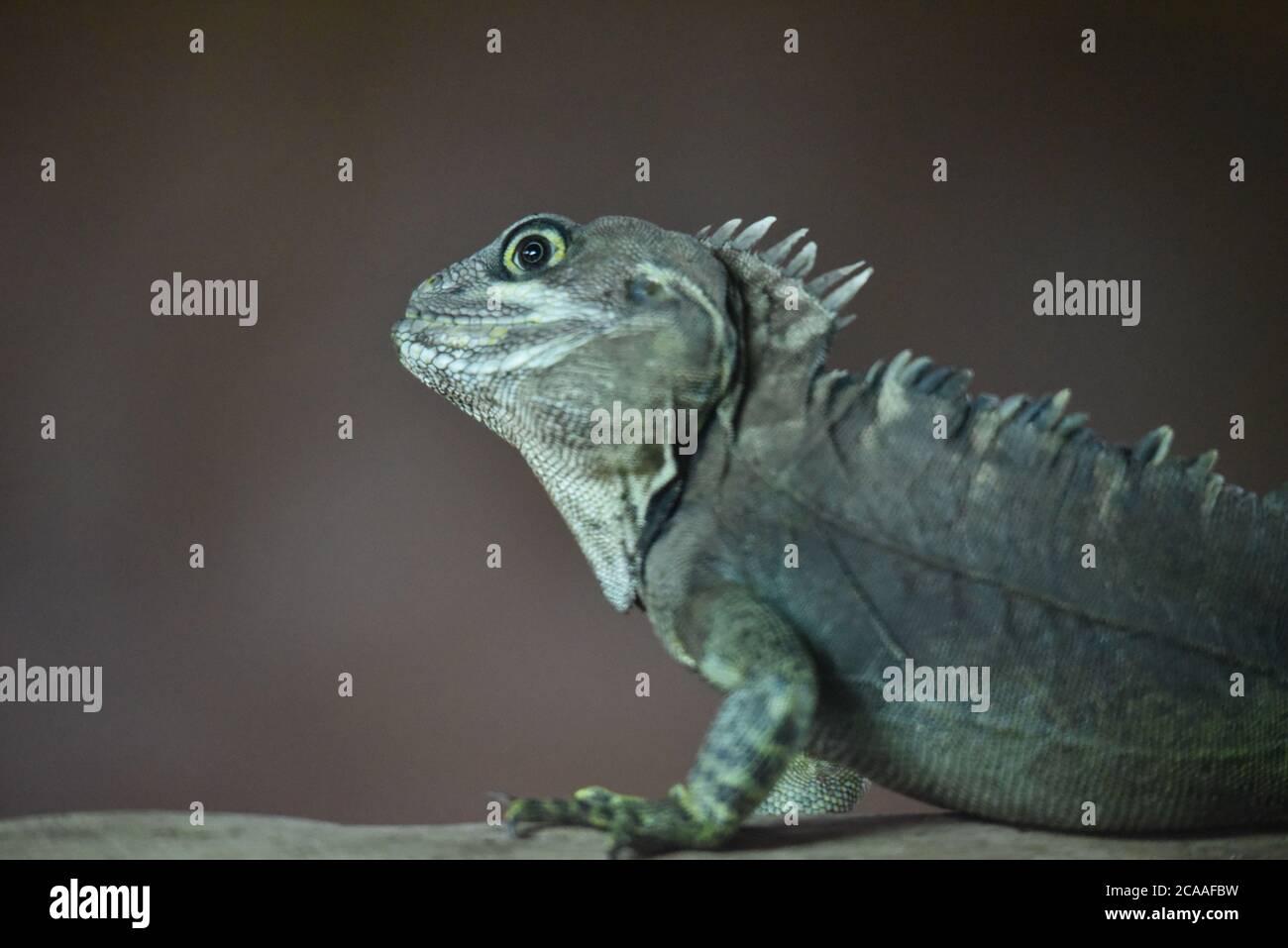Wildlife information poster hi-res stock photography and images - Alamy