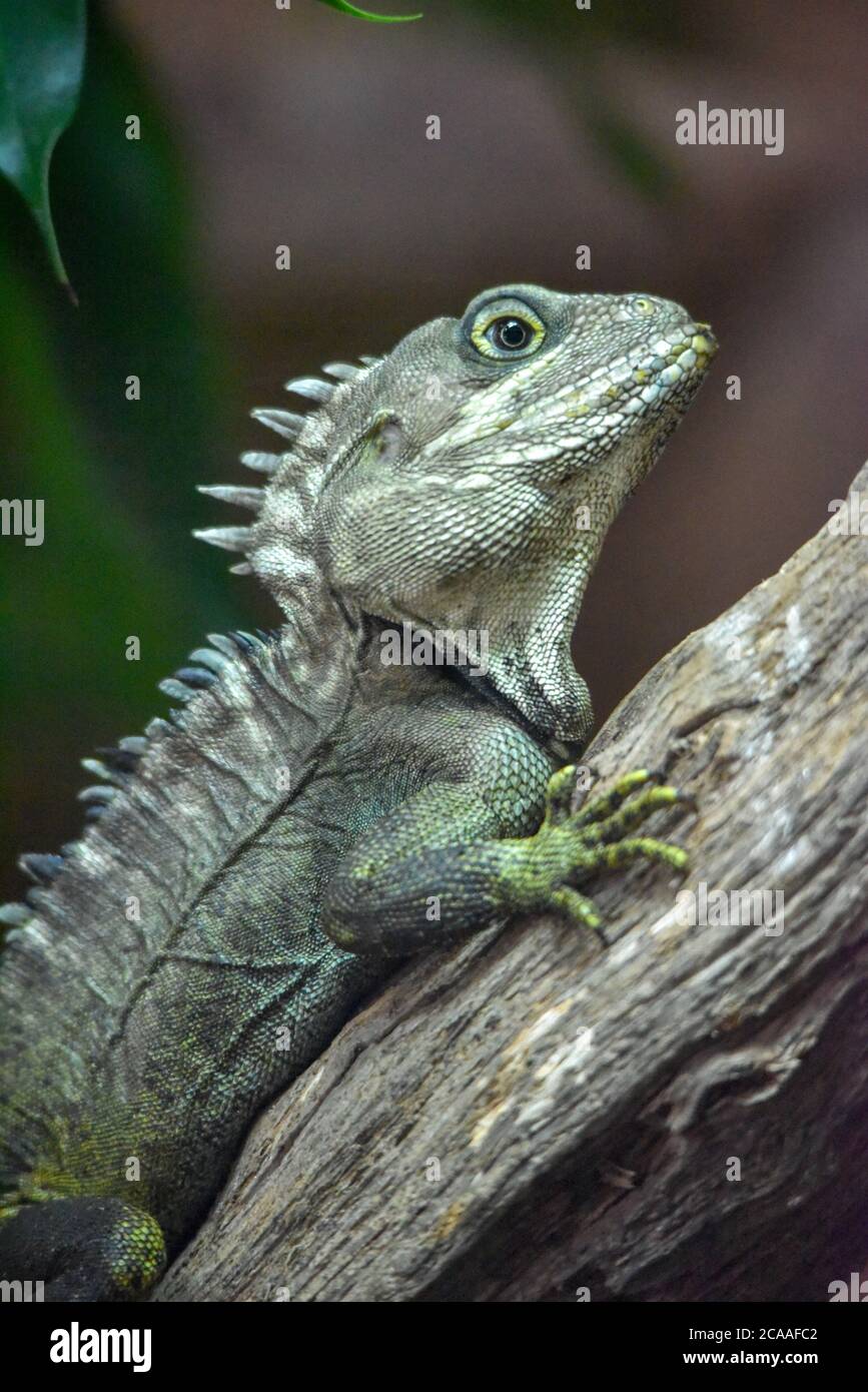 Wildlife information poster hi-res stock photography and images - Alamy