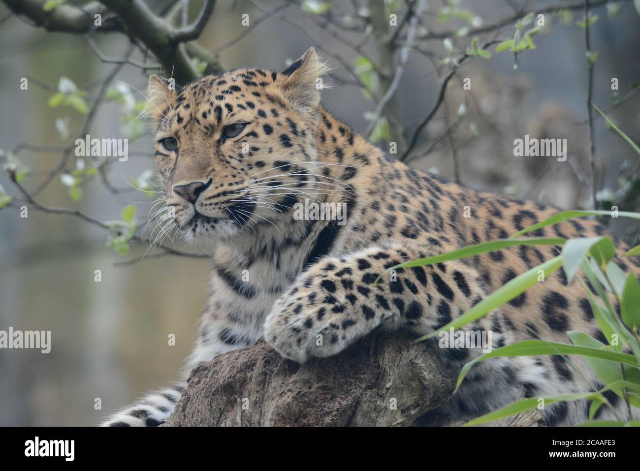 Wildlife information poster hi-res stock photography and images - Alamy