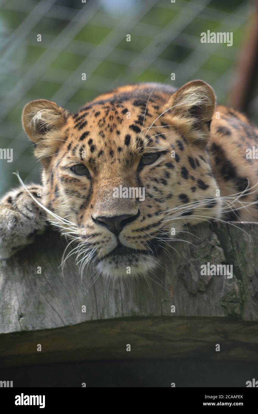 Wildlife information poster hi-res stock photography and images - Alamy