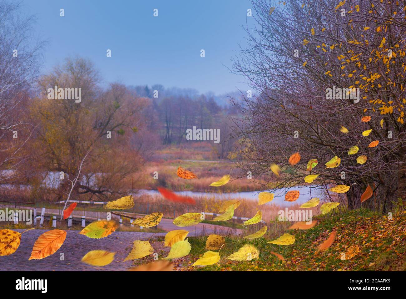Autumn leaves falling and spinning. Autumn falling leaves on village ...