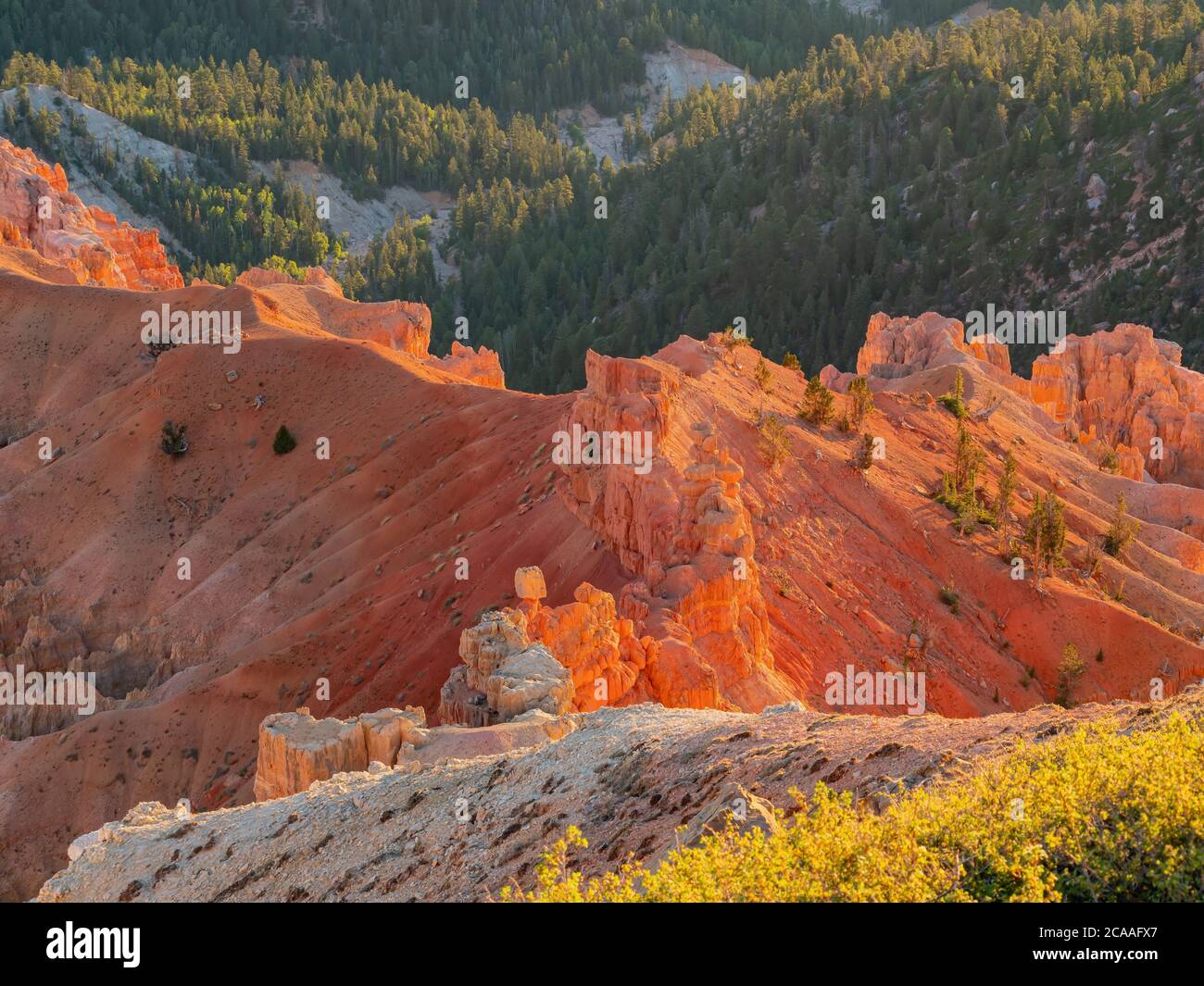 Cedar mountain formation hi-res stock photography and images - Alamy
