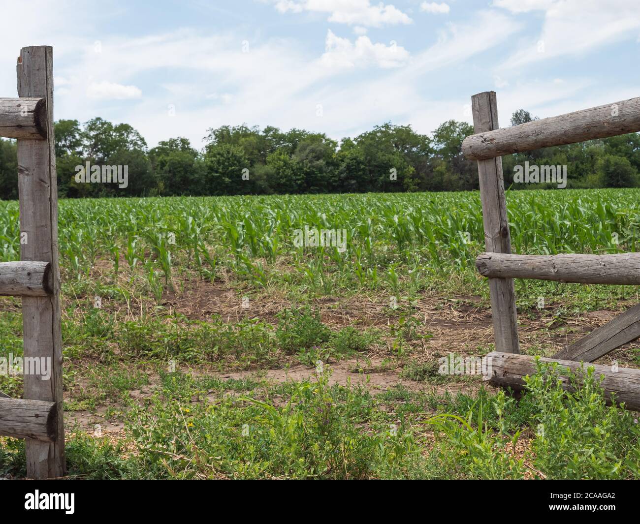 Partly open gate hi-res stock photography and images - Alamy