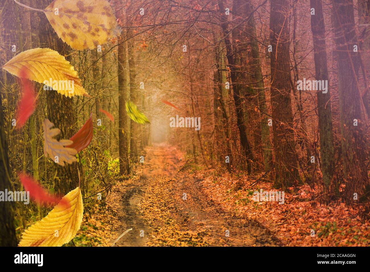 Border frame of autumn leaves falling on landscape background. Frame ...