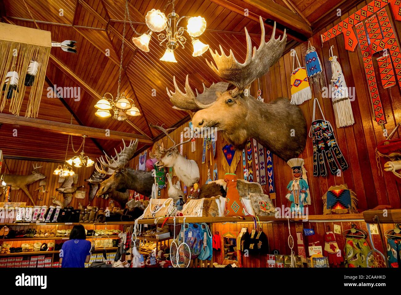 Moose heads and souvenirs, Banff Trading Post, Banff National Park ...