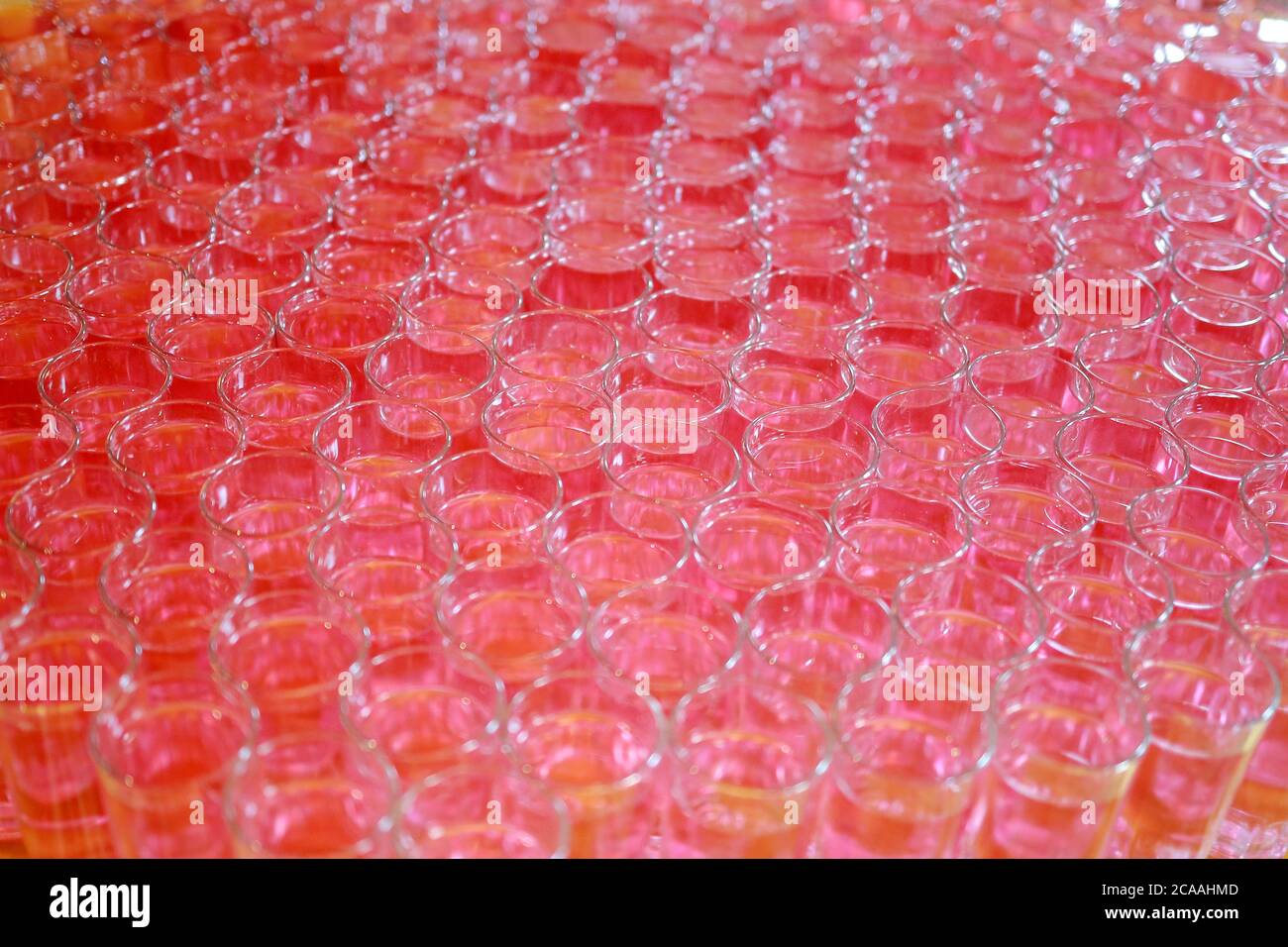 Wedding Event Catering Style Juices Recipe. Indian Welcome Drink Fresh ...