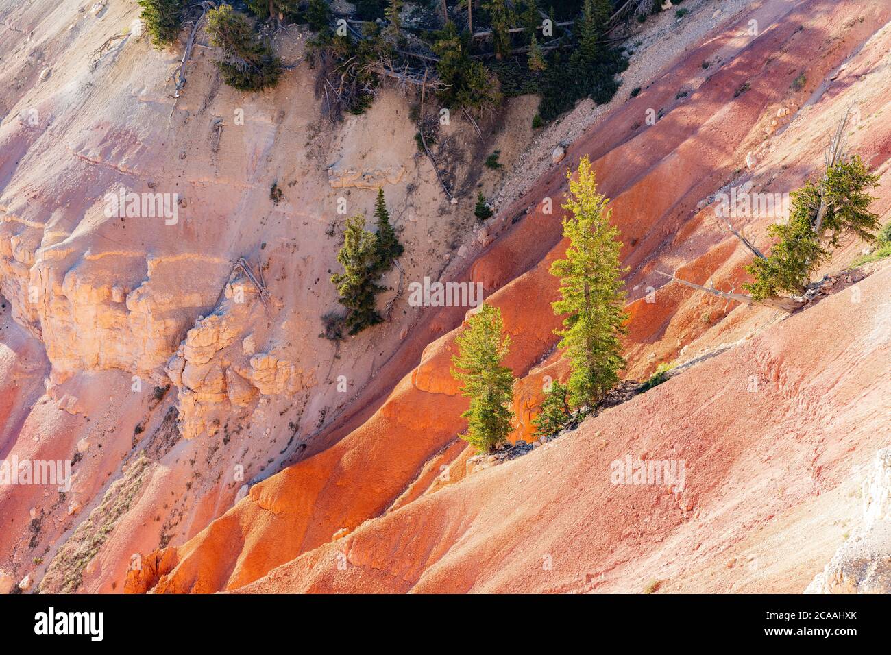 Beautiful landscape saw from Sunset View Overlook of Cedar Breaks ...
