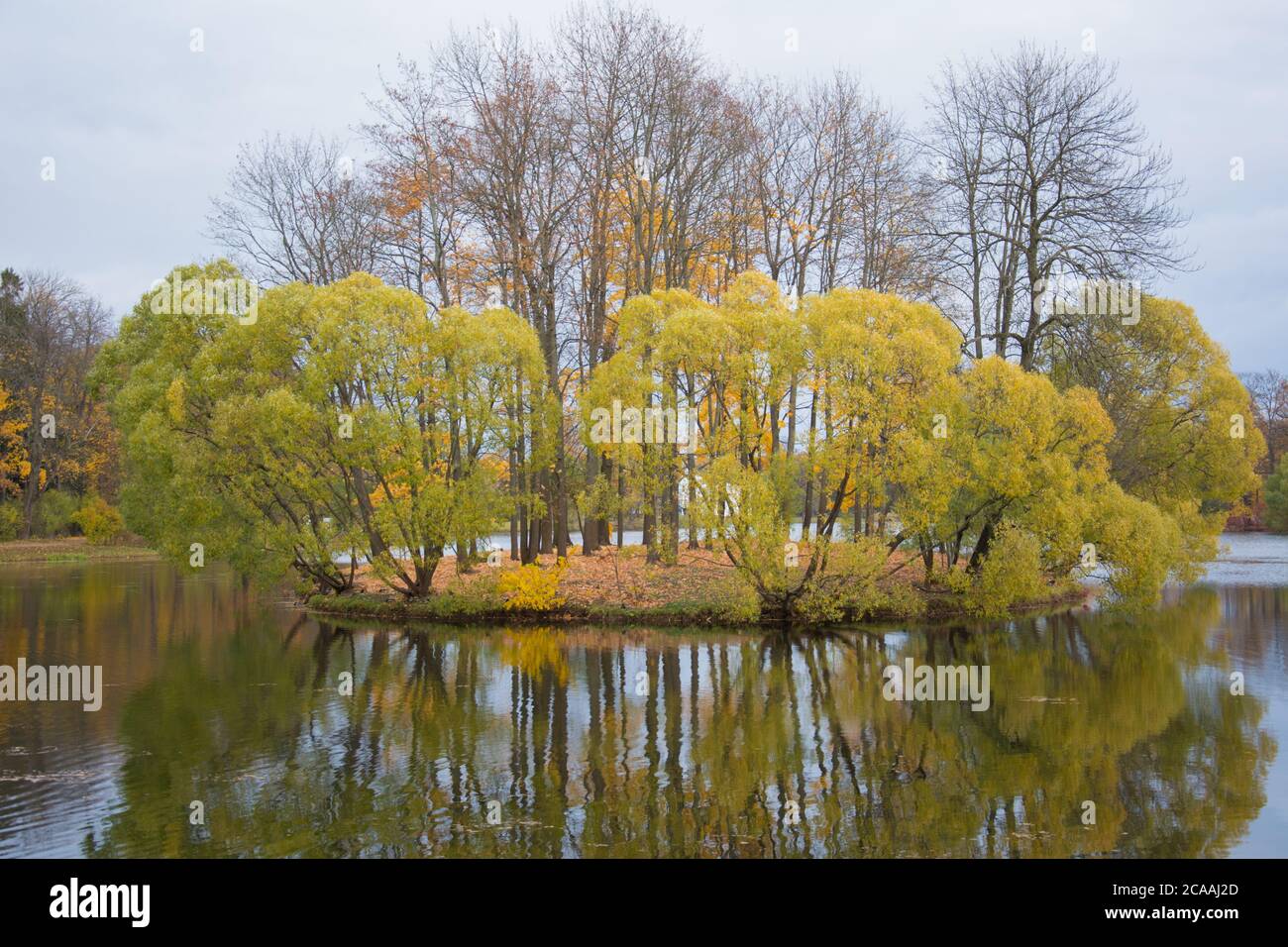 Autumn park in the city of Pushkin Stock Photo - Alamy