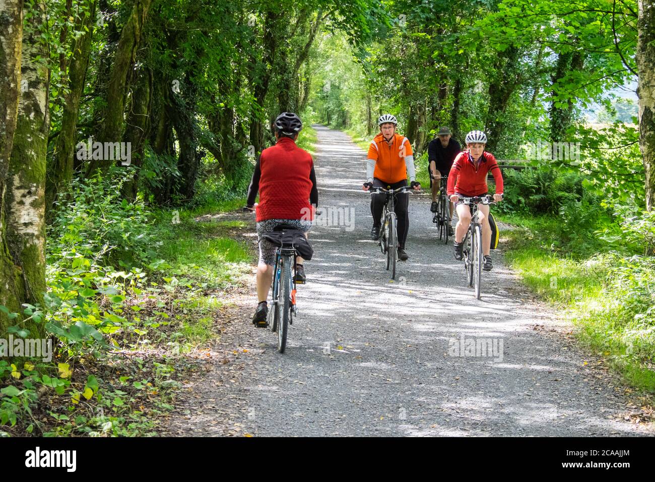 Cycling,bicycle,bike,ride,along,on,scenic,Mawddach,Mawddach trails ...