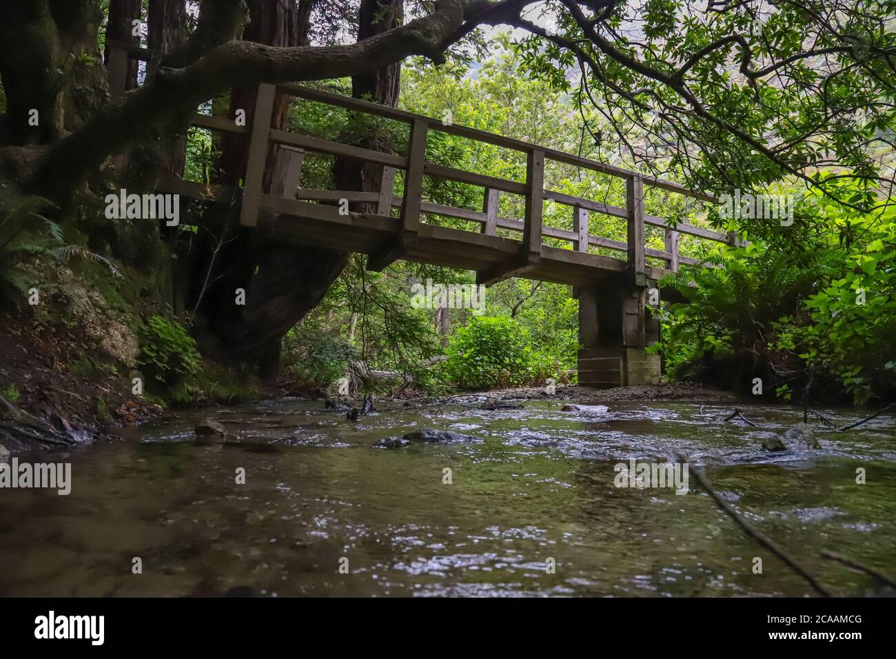 BIG SUR, CALIFORNIA, UNITED STATES - Jun 29, 2020: A bridge crosses a ...
