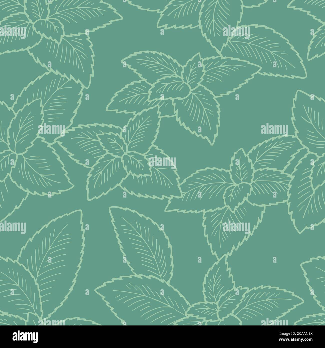 Mint plant graphic color seamless pattern background sketch ...