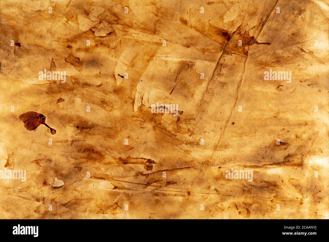 Burned old sheet of paper with a transparent background Stock Photo - Alamy