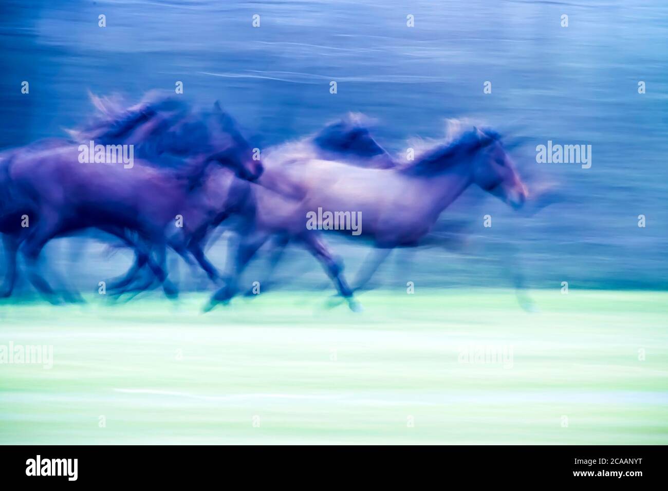 Running wild horses. Motion blur background. Abstract nature and ...
