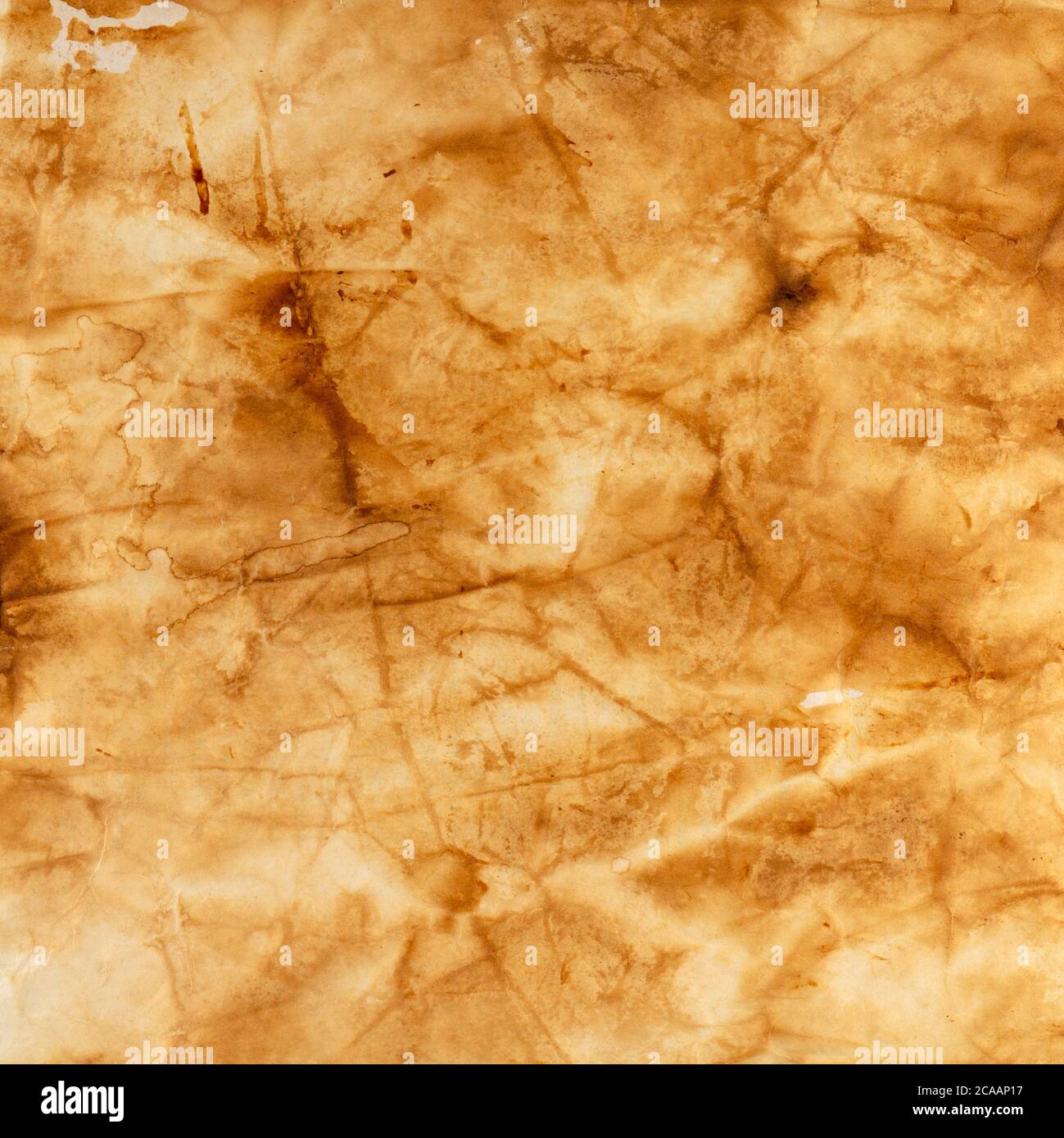 Burned old sheet of paper with a transparent background Stock Photo - Alamy