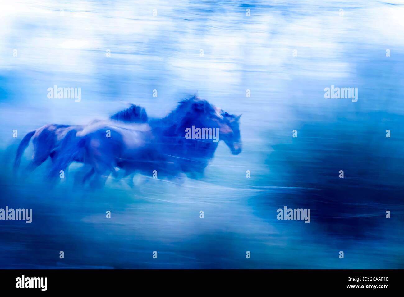Running wild horses. Motion blur background. Abstract nature and ...