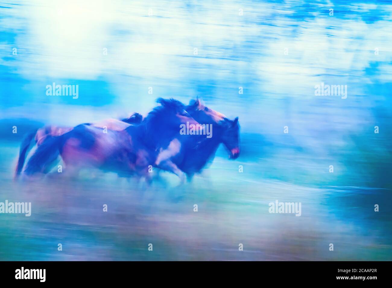 Running wild horses. Motion blur background. Abstract nature and ...