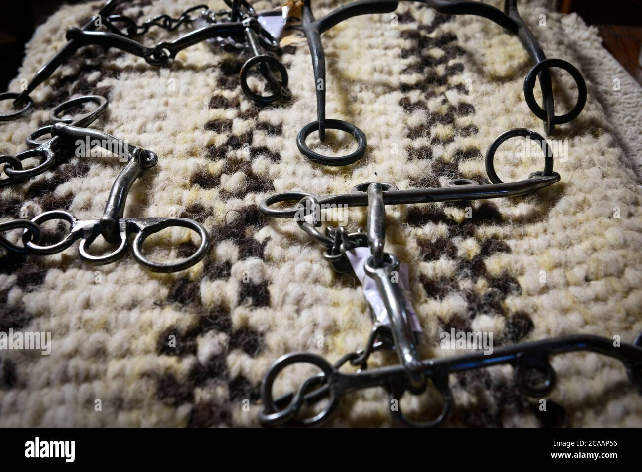 Equipment for riding Stock Photo - Alamy