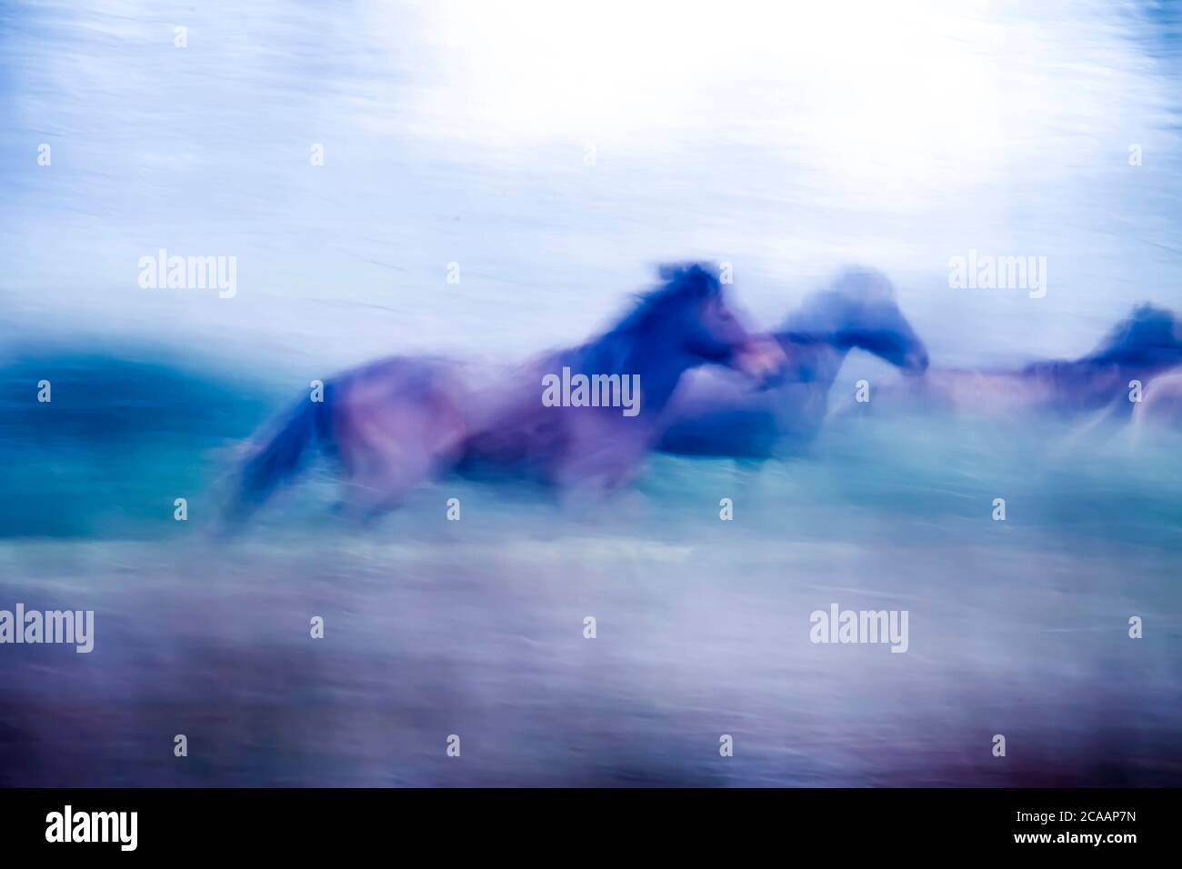 Running wild horses. Motion blur background. Abstract nature and ...