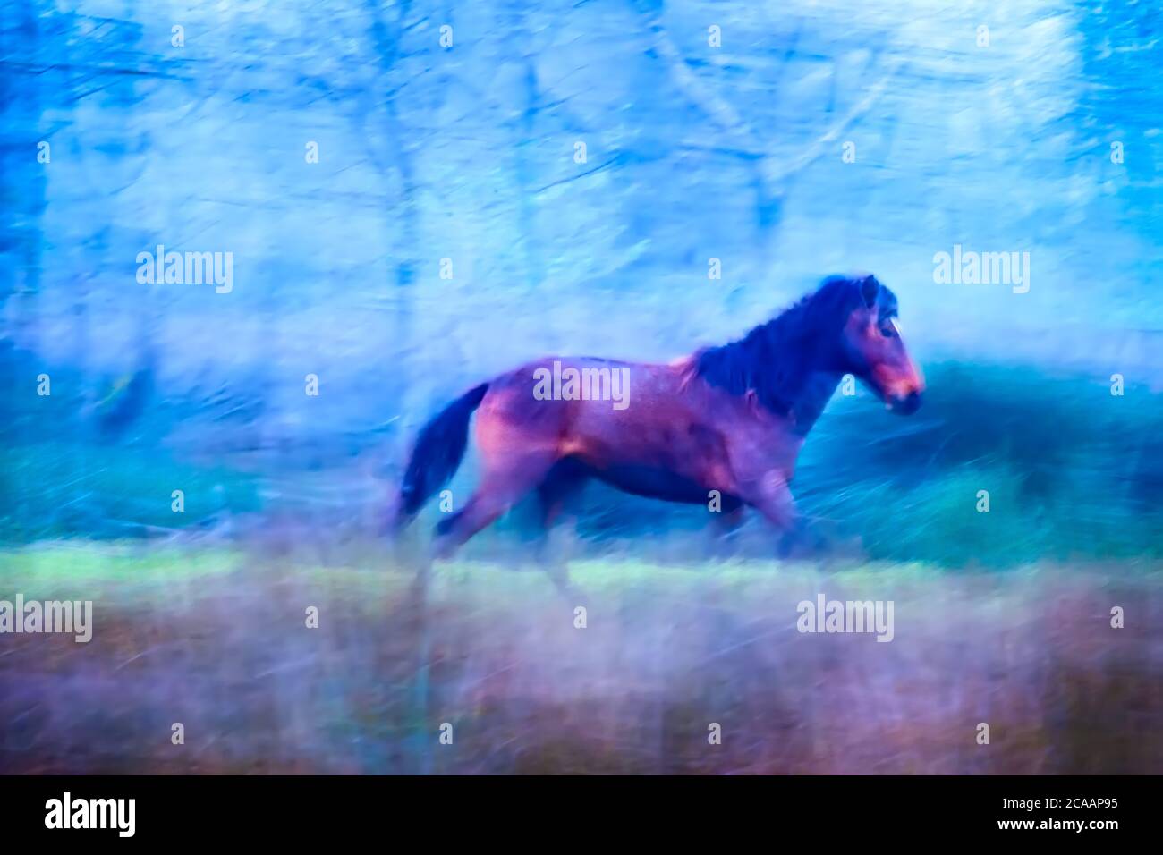 Running wild horses. Motion blur background. Abstract nature and ...