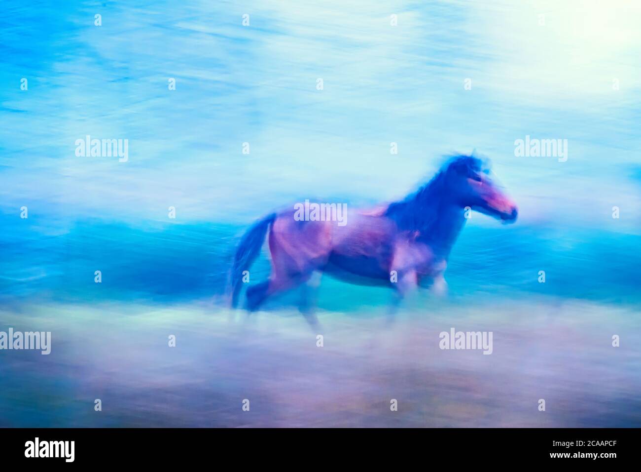 Running wild horses. Motion blur background. Abstract nature and ...
