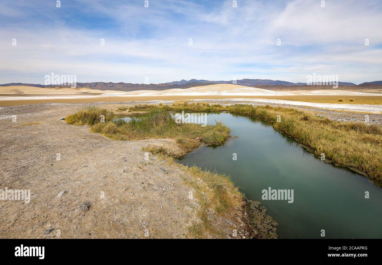Tecopa Hot Springs pond Stock Photo - Alamy