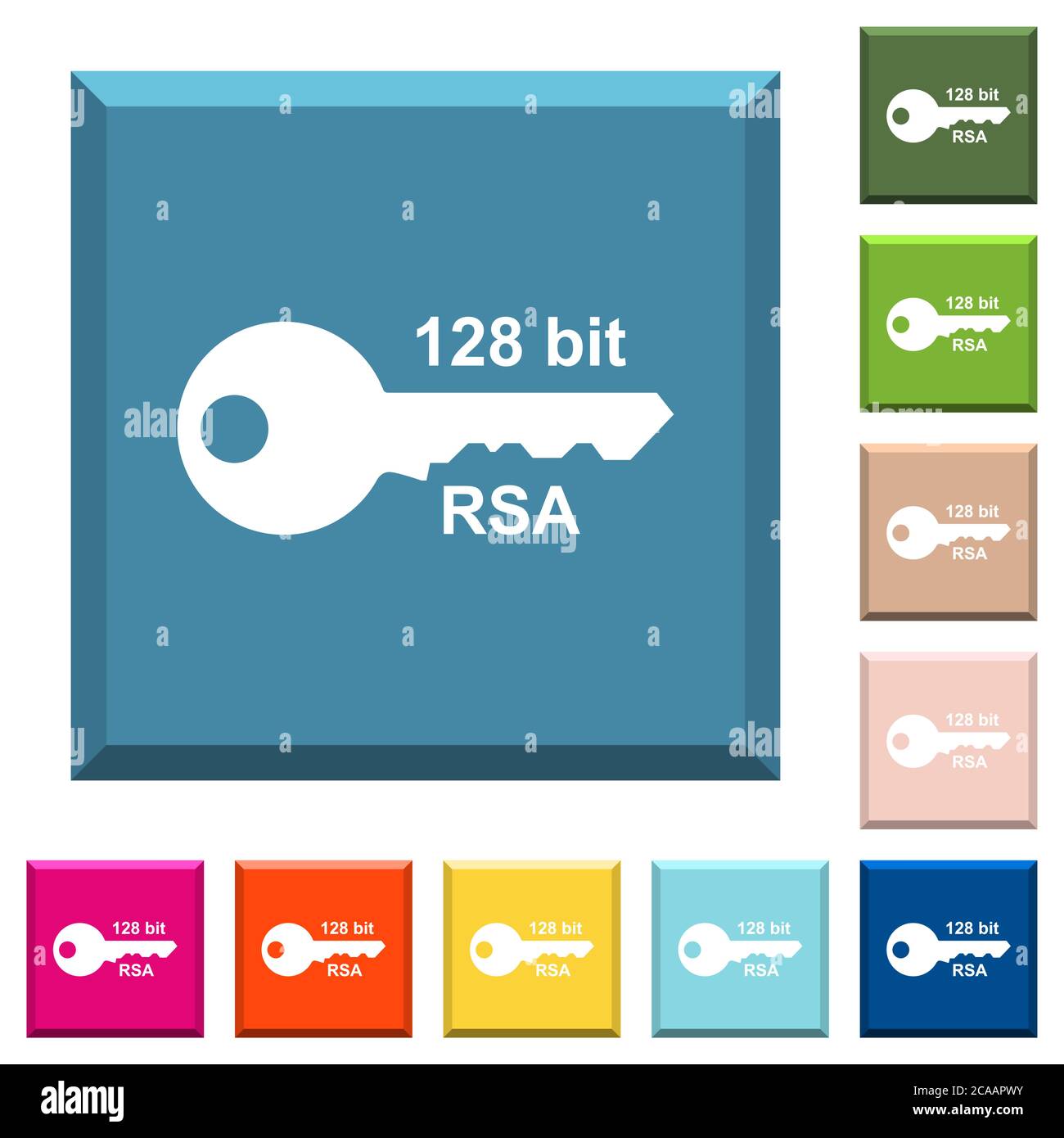 128 bit rsa encryption white icons on edged square buttons in various ...