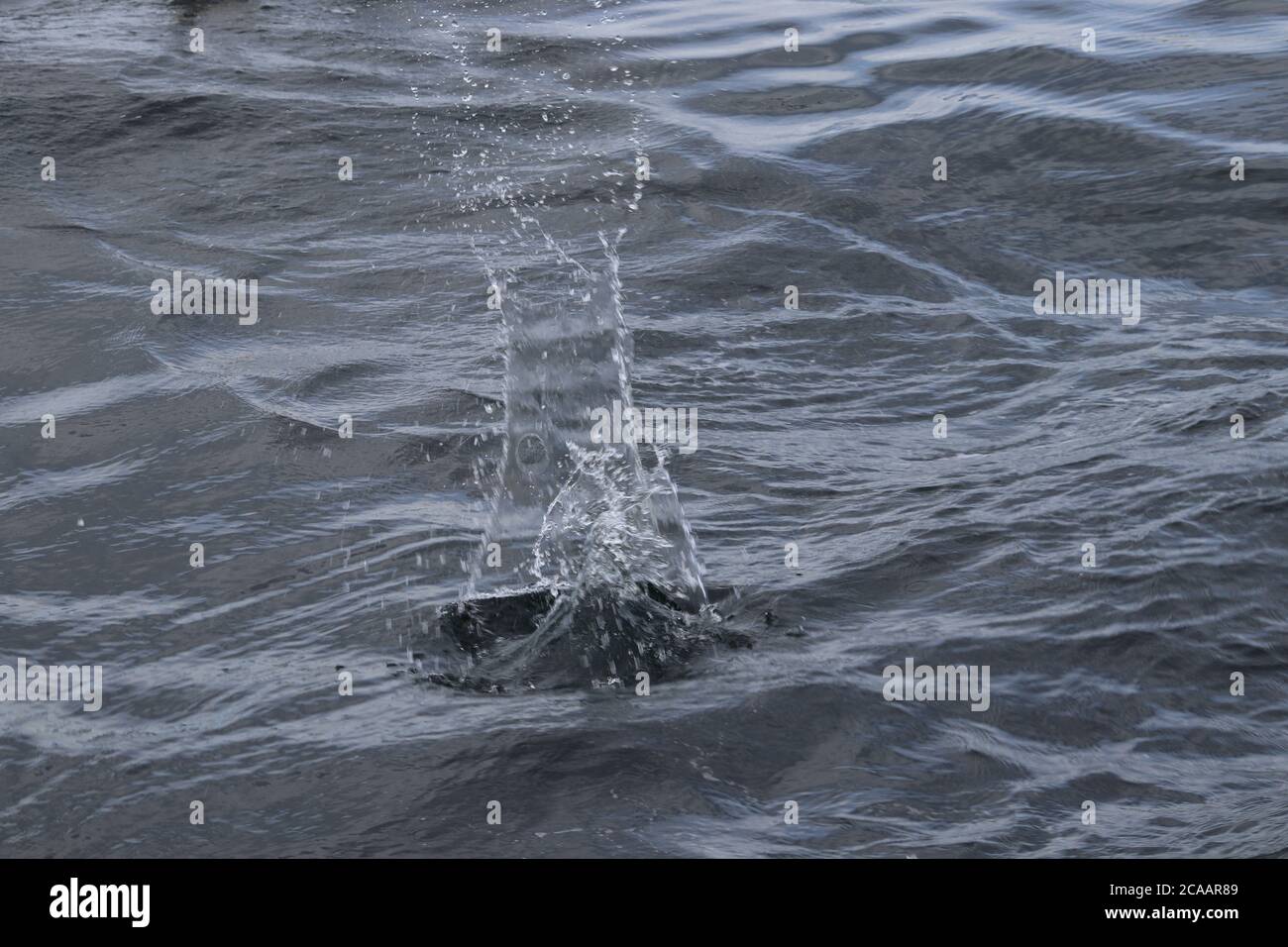 Abstract water spalsh hi-res stock photography and images - Alamy