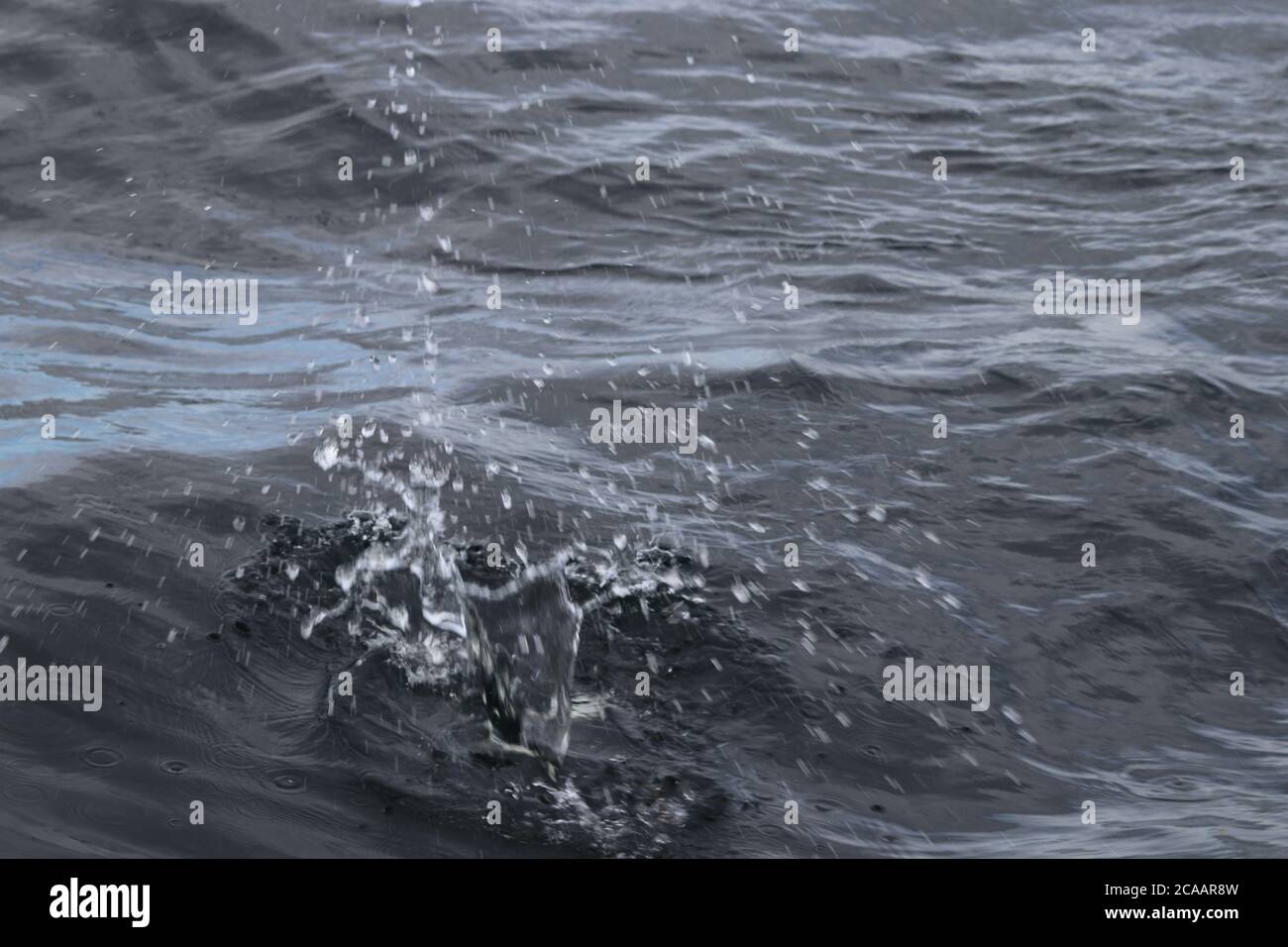 Abstract water spalsh hi-res stock photography and images - Alamy