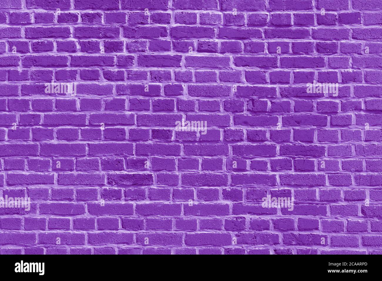 The background of the old violet brick wall for design interior Stock ...