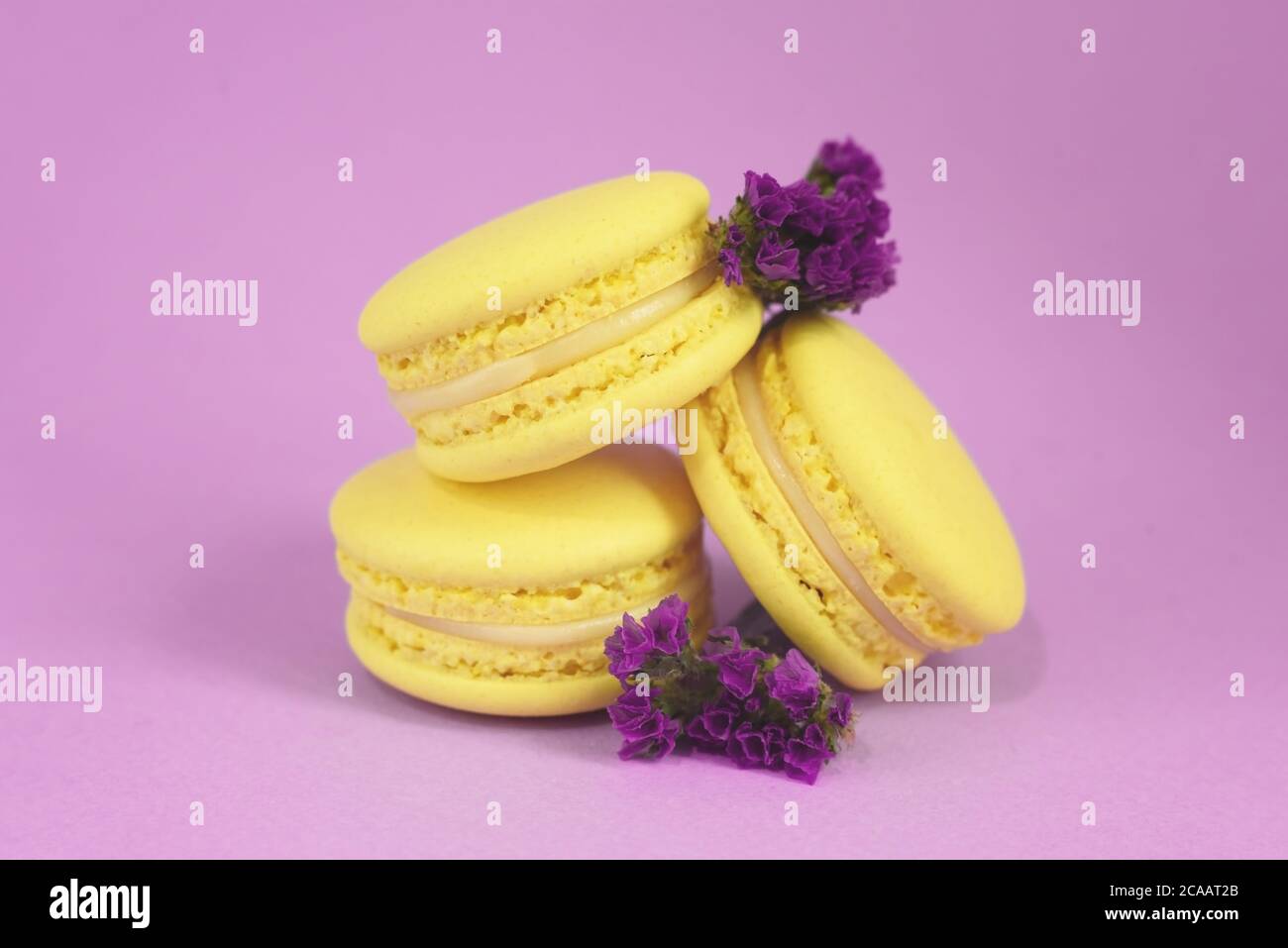 Three tasty french yellow colored macarons with flowers on the purple ...