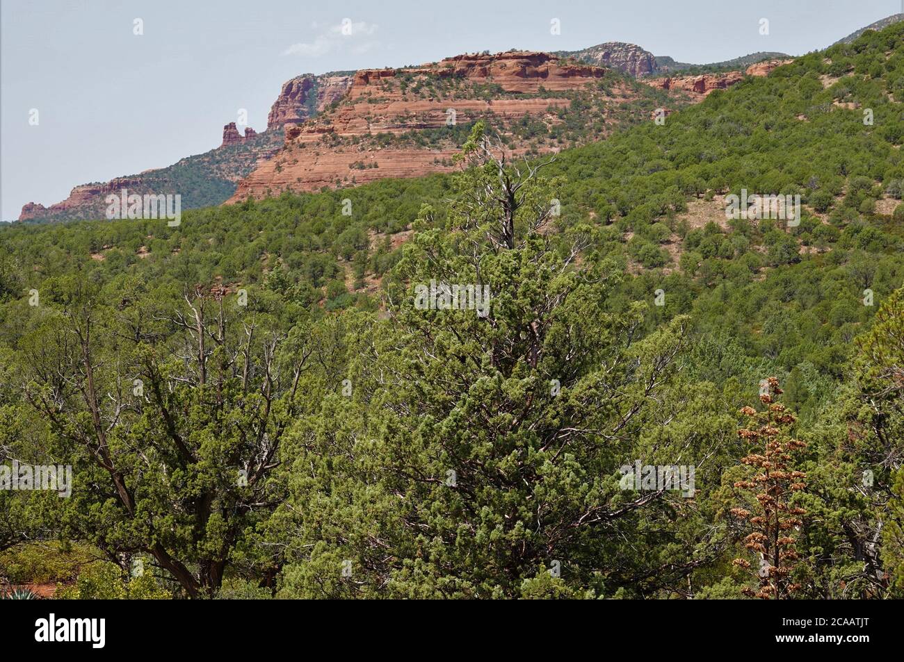The beautiful red rocks in Sedona, Arizona attract tourists from around ...