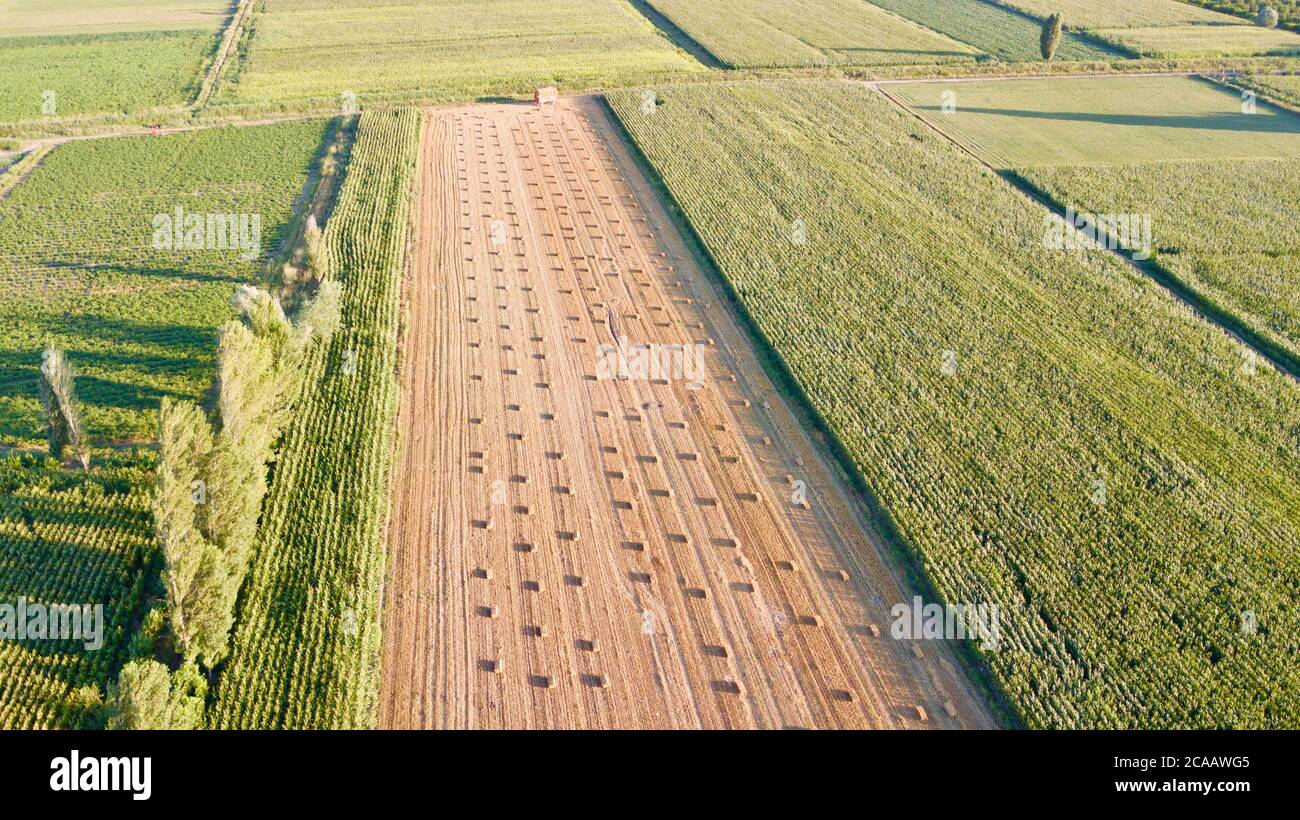 aerial view of a wheat field in the countryside Stock Photo - Alamy