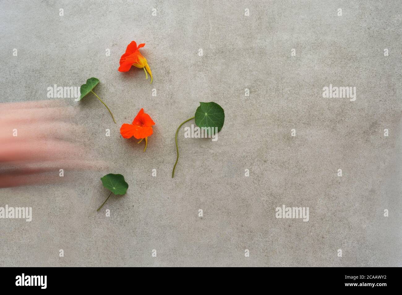 Hand movement hi-res stock photography and images - Alamy