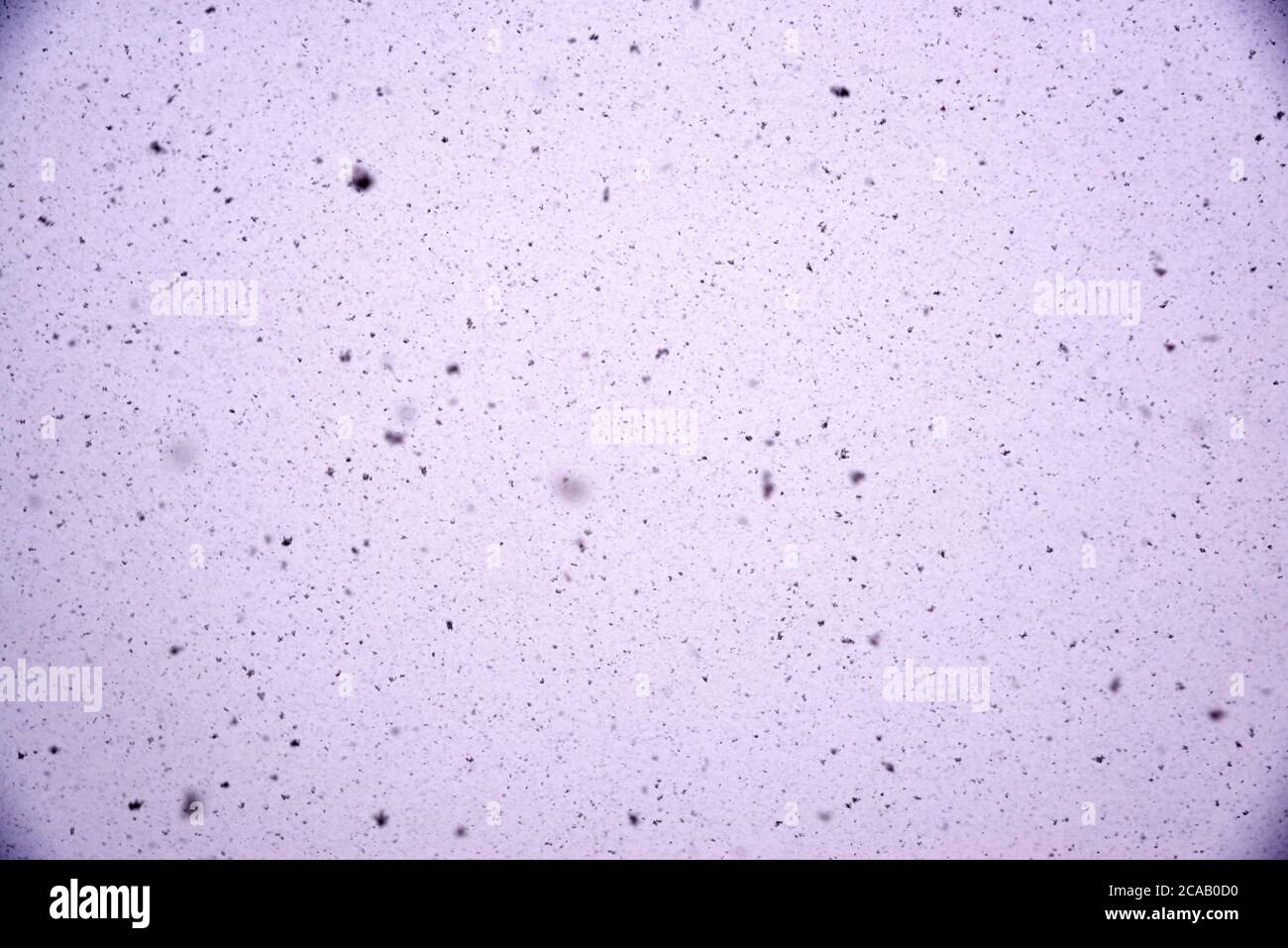 Dust on the matrix hi-res stock photography and images - Alamy