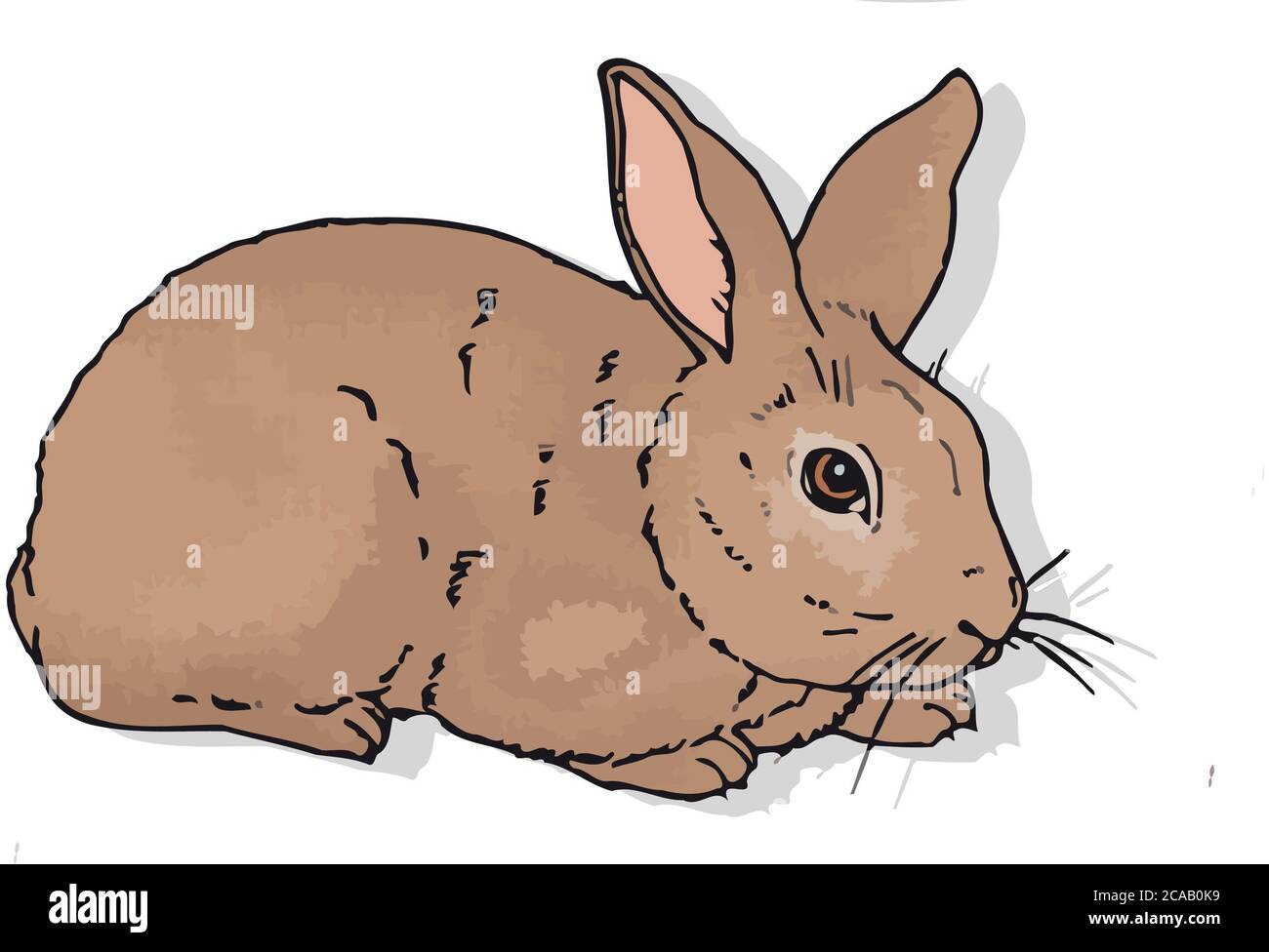Illustration of an adorable brown rabbit isolated on a white background ...