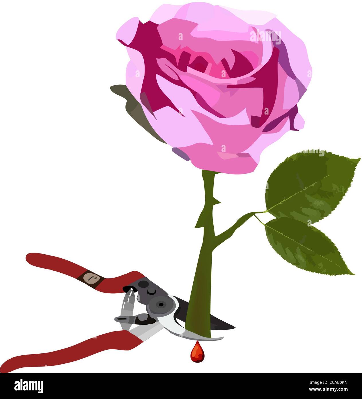 Moving Animations Of Roses