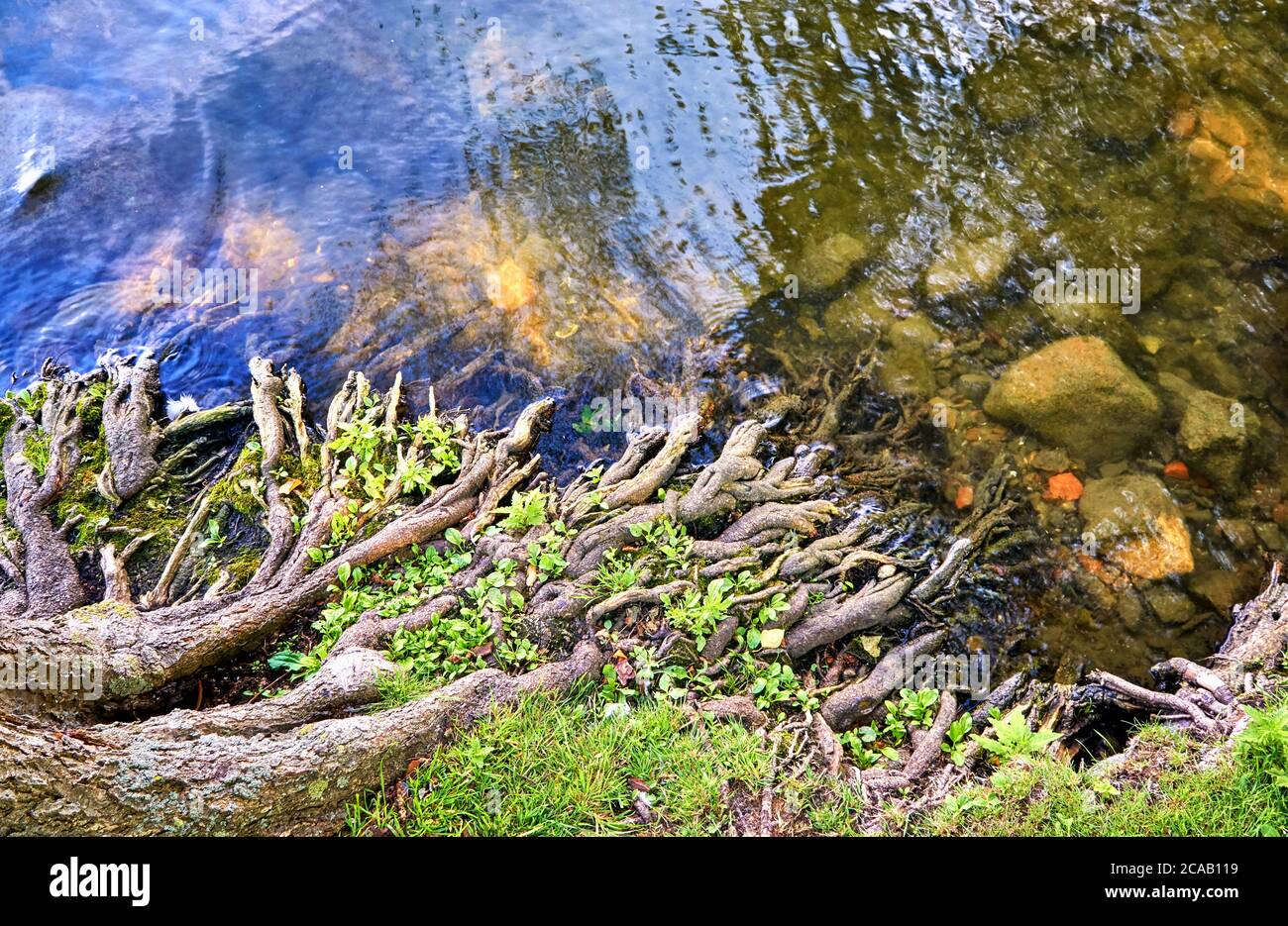 Entwine hi-res stock photography and images - Alamy